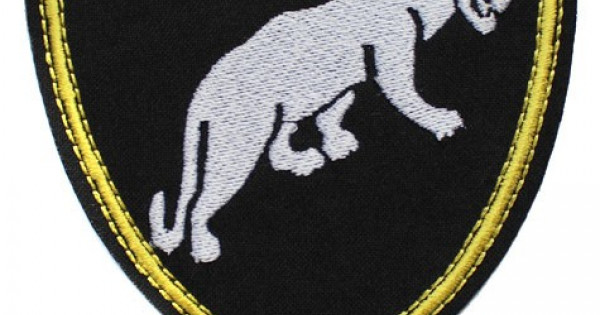 Separate operative division of Internal Troops Sleeve patch with Panther