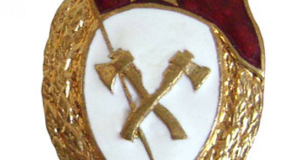Soviet military field engineer school metal badge